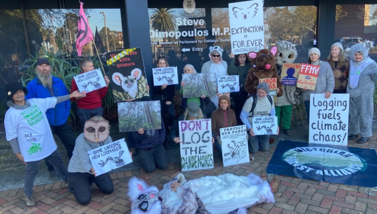 Victoria Çevre Bakanı'nın ofisinin önünde orman protestosu - Dunya News